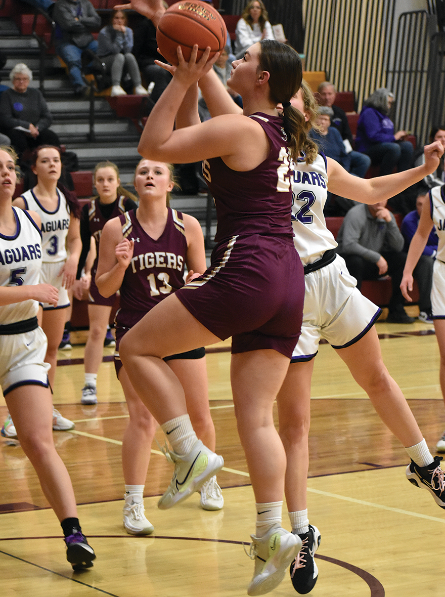 Tigers hold off Jaguars, advance to quarterfinals | News, Sports, Jobs ...